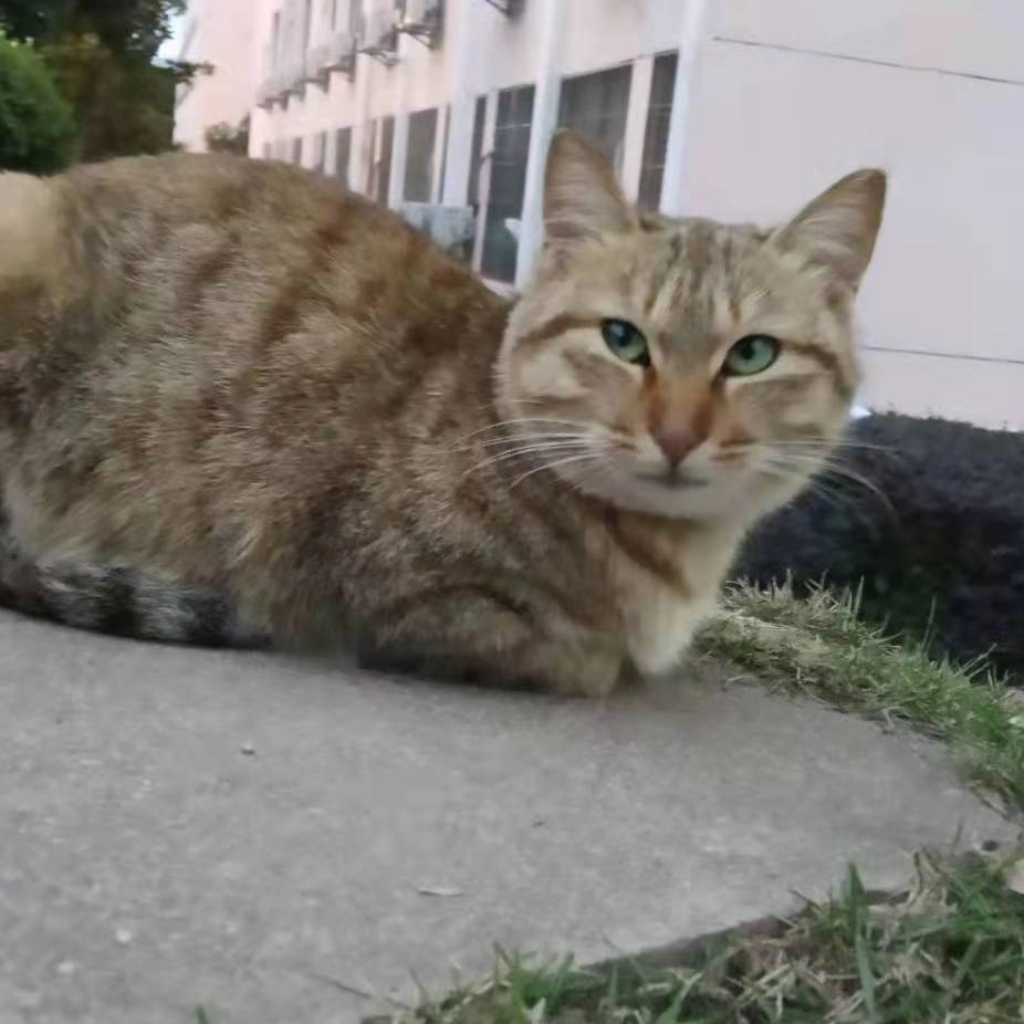 邱相东个人图库 | PPBC中国植物图像库