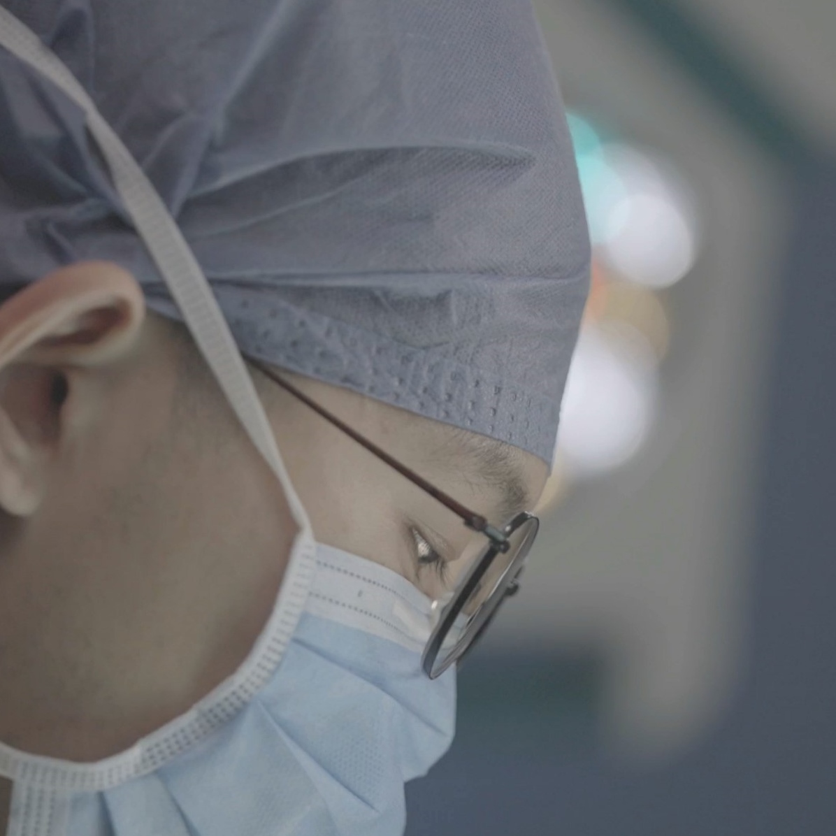 于振国个人图库 | PPBC中国植物图像库